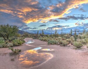 Arizona Property Tax | Laws, Rates & Due Dates
